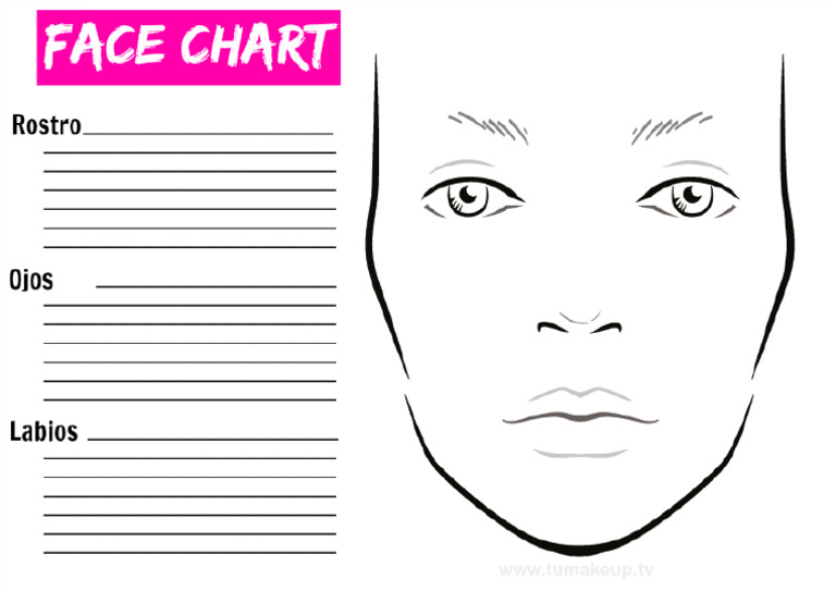 Face Chart | PDF