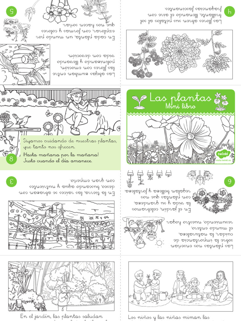 Es SL 1715622123 Minilibro Las Plantas Letra Ligada | PDF