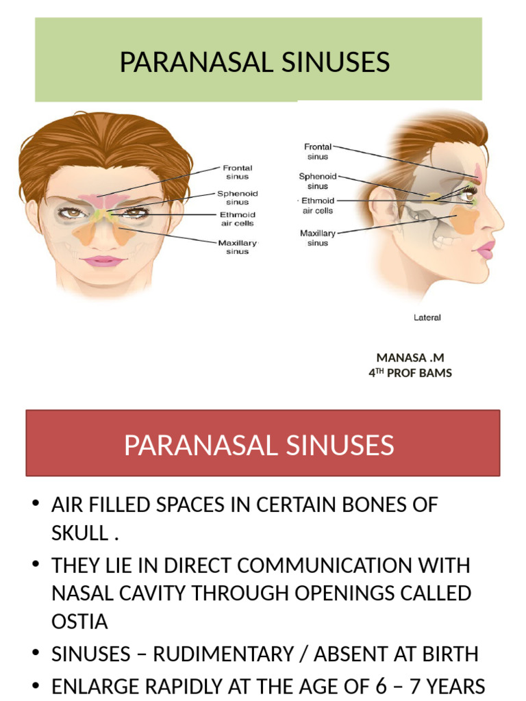 Anatomy of Paranasal Sinuses | PDF | Human Nose | Otorhinolaryngology