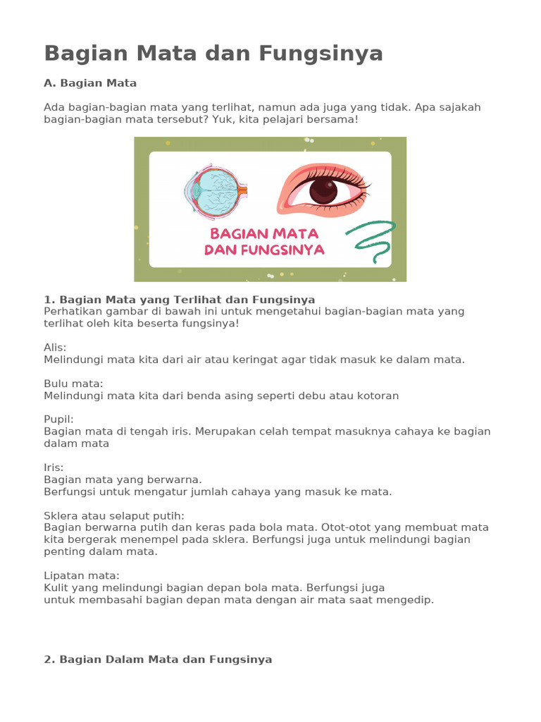 Bagian-Bagian Mata dan Fungsinya | PDF