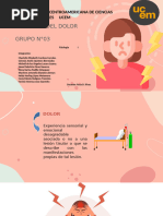 Vías del Dolor: Anatomía y Fisiología | PDF | Dolor | Nervio