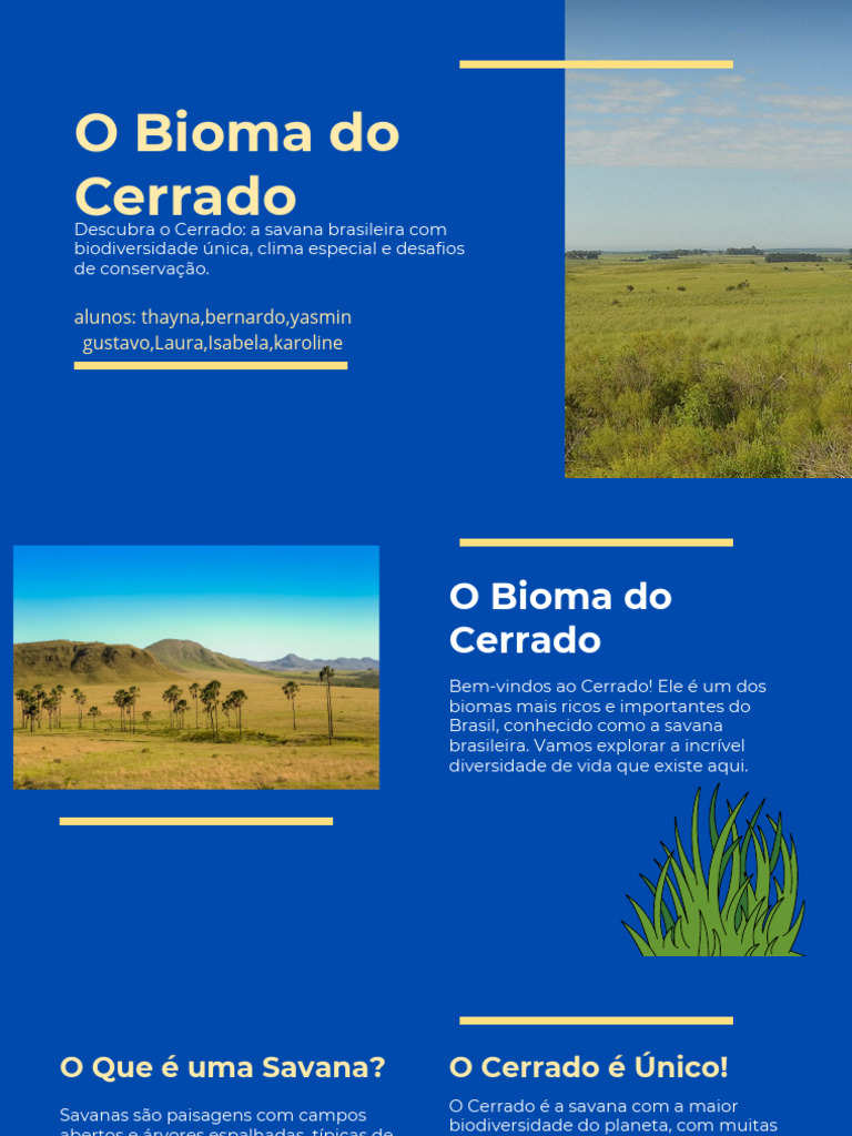 Características do Bioma Cerrado | PDF | Savana | Desmatamento