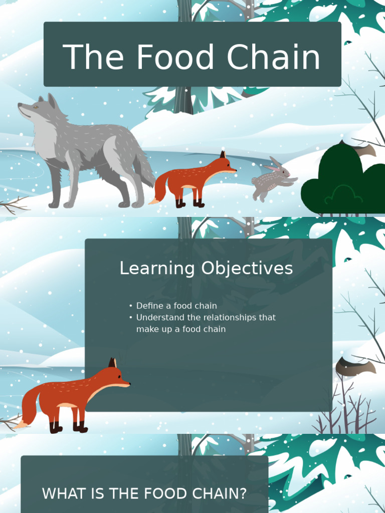 Colorful Illustrative Science Food Chain Presentation | PDF