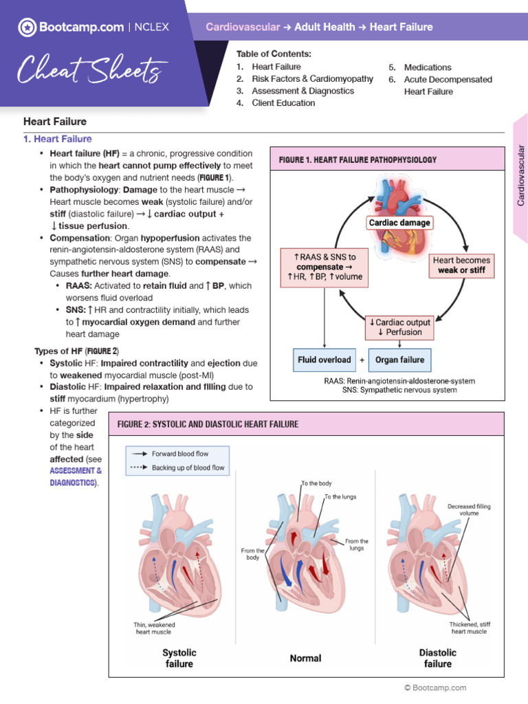 Cardiac Medications for Heart Failure | PDF | Heart Failure | Heart