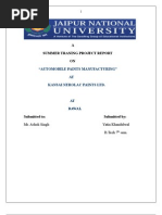 Paint Shop Process Presentation | PDF | Paint | Materials