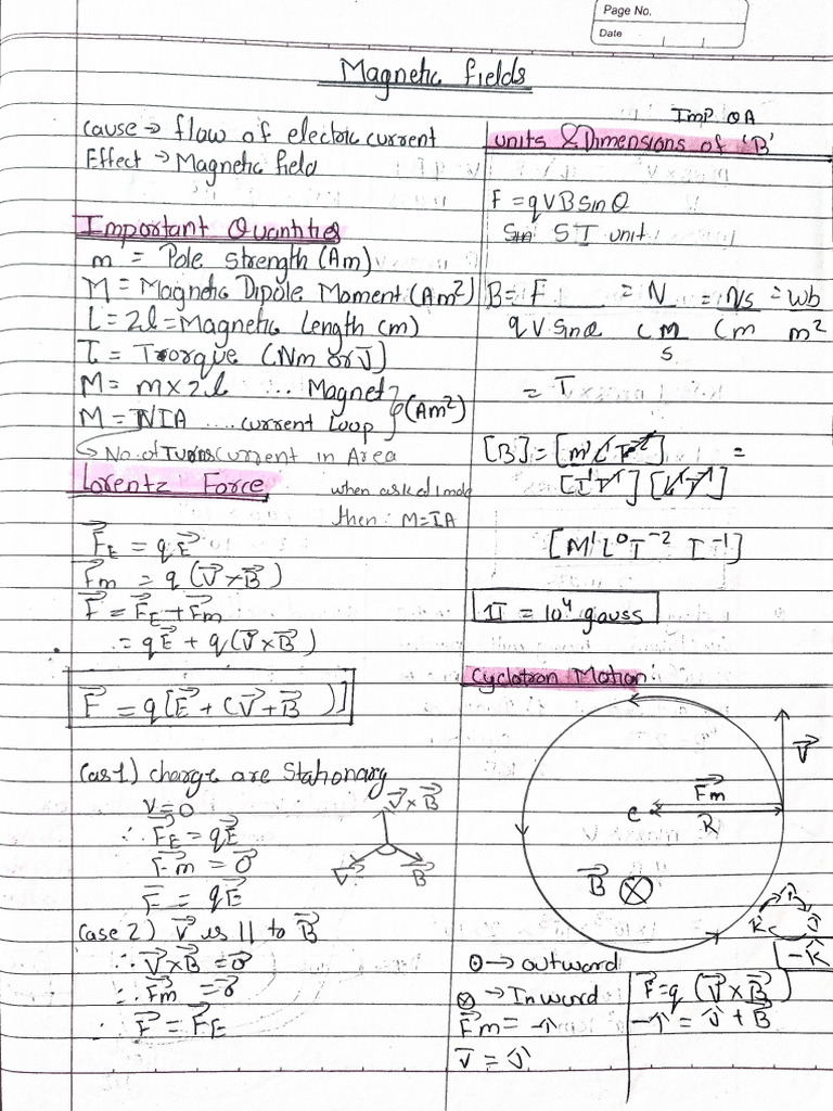 Magnetic Field | PDF
