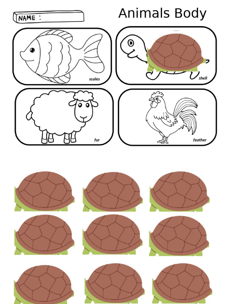 Animals Body Covering Shell WORKSHEET | PDF