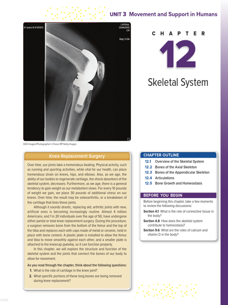 First Unit Skeletal Biology | PDF | Vertebra | Thorax