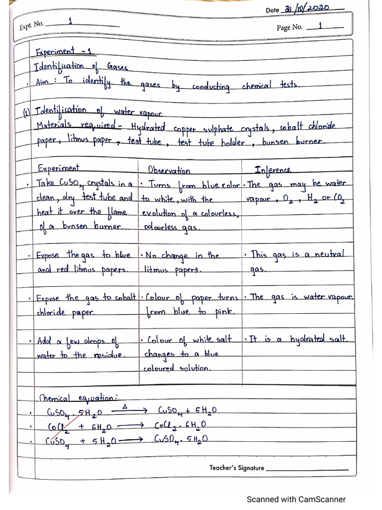 Identification of Gases | PDF