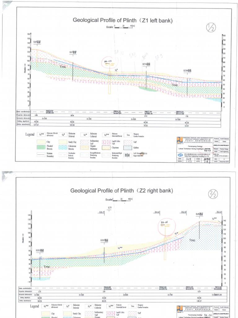 Document 20250219 0001 | PDF