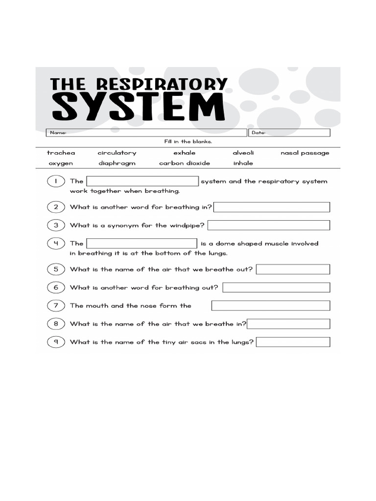 Respiratory System Worksheets 175139.Jpg | PDF