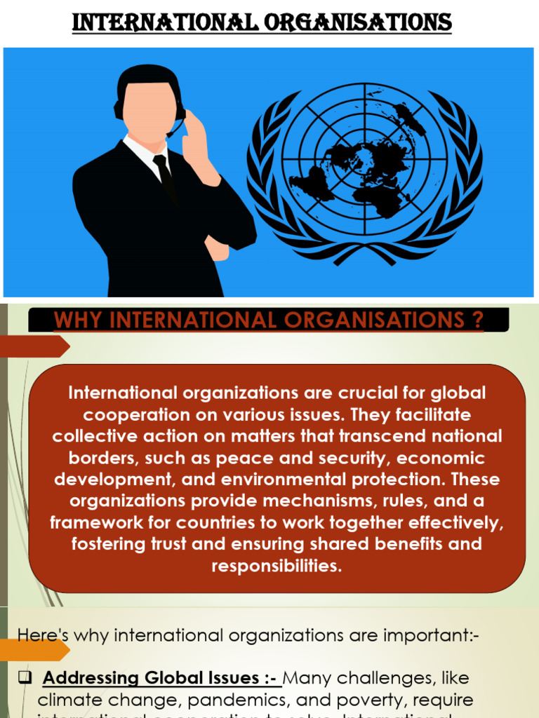 Importance of International Organizations | PDF | World Bank ...