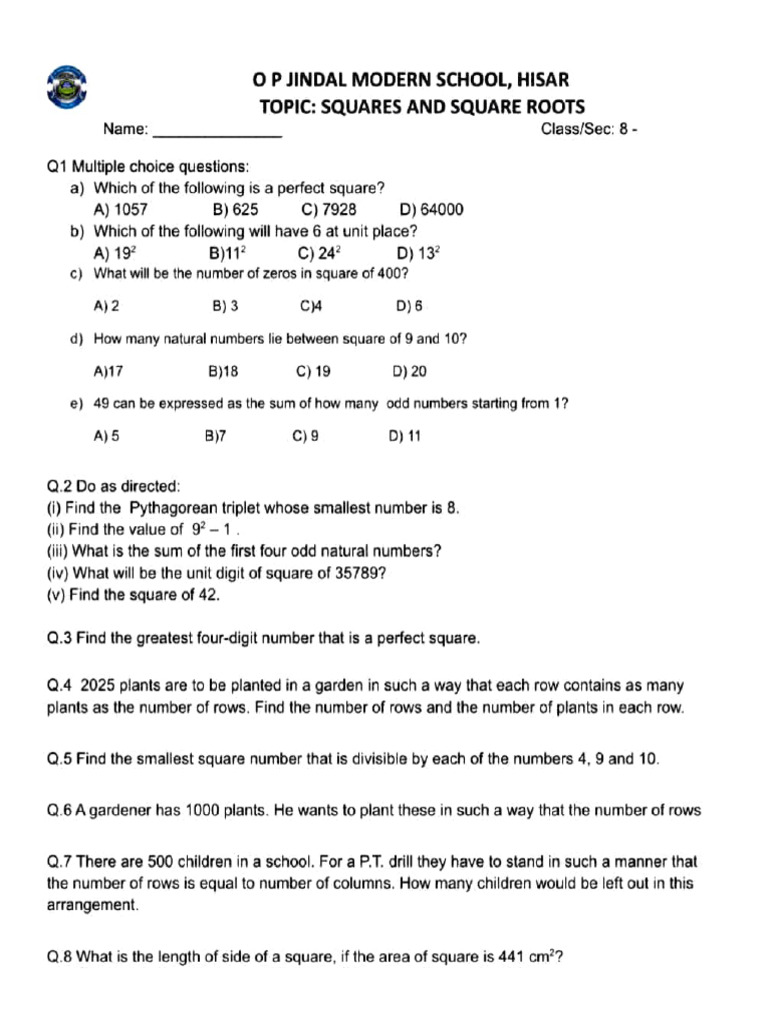 VIII-Worksheet-square and Square Roots | PDF