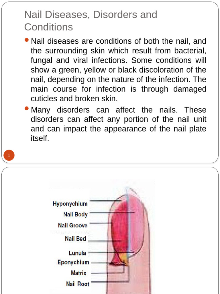 Nail Diseases: Plicatured vs Pincer Nails | PDF | Nail (Anatomy ...