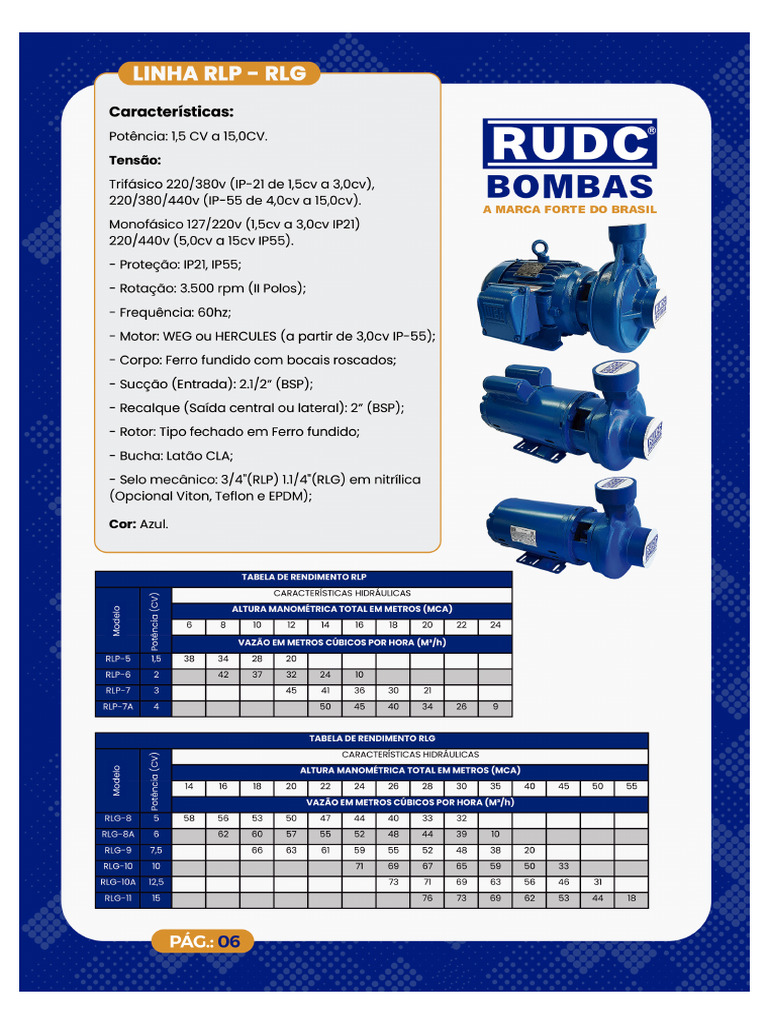 Rudc Bombas 06 RLP-RLG | PDF