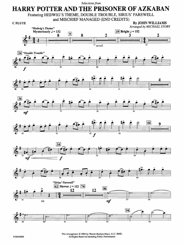 C Flute | PDF