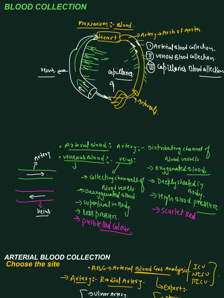 Arterial Blood Collection PPT 2502 | PDF