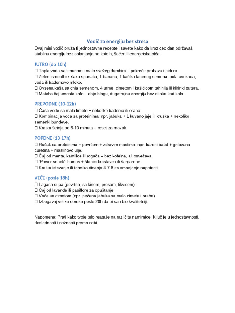 Vodic - Energija Bez Stresa - Vojislav Vesic | PDF