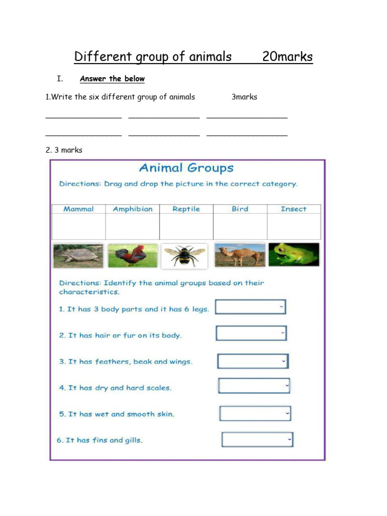 Different Group of Animals 20marks | PDF