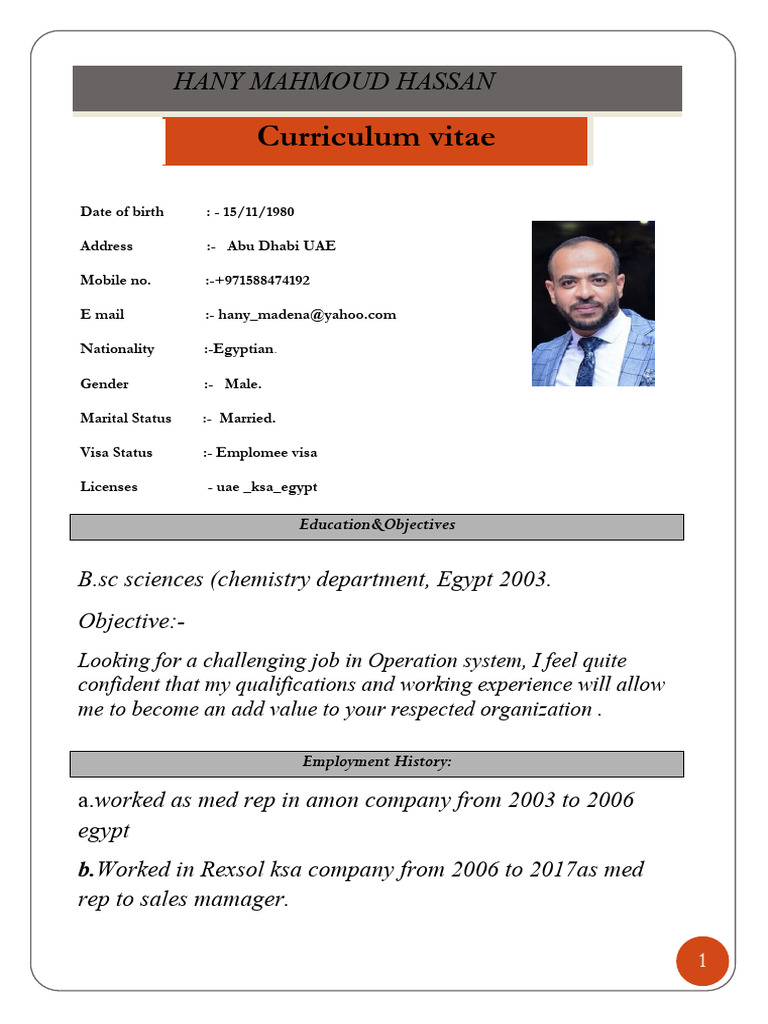 Hany Mahmoud Hassan CV: Sales Manager | PDF