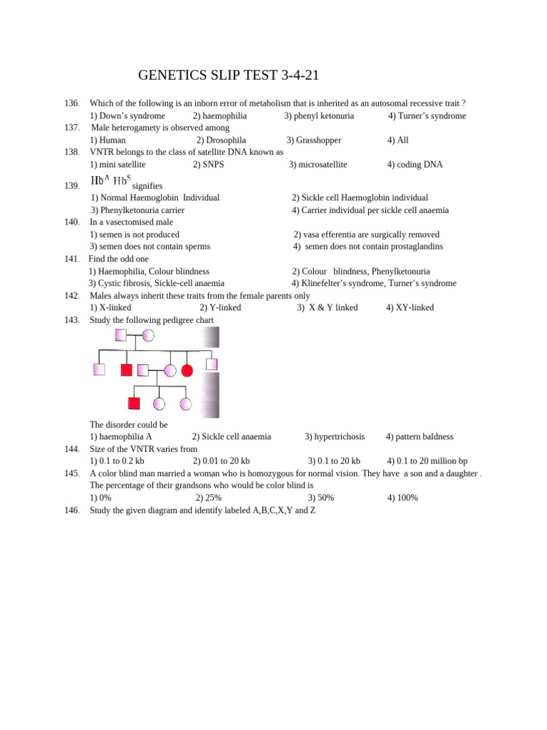 Genetics Slip Test 3-4-21 | PDF | Dominance (Genetics) | Molecular Biology