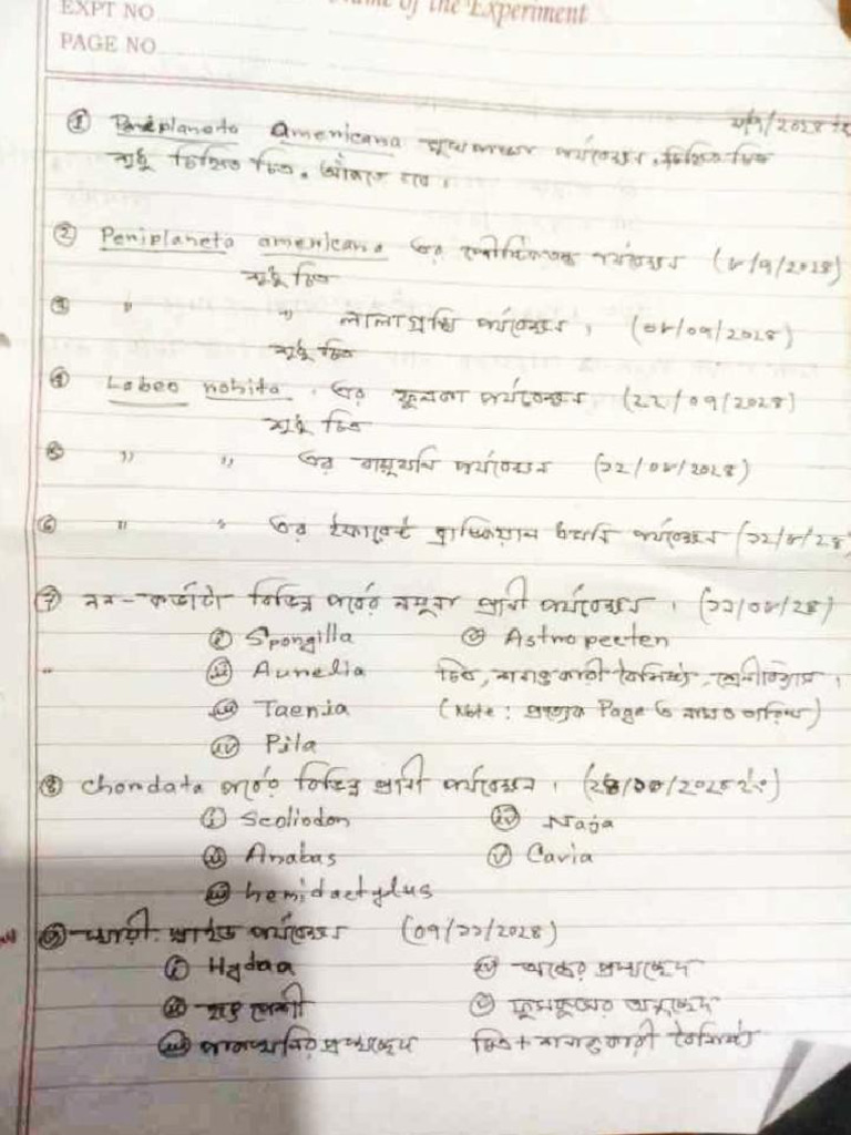 Bio 2nd Practical - Mohammad | PDF
