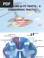 Spinal Cord Ascending and Descending Tracts | PDF | Spinal Cord ...