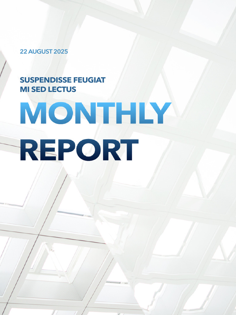 Professional Report | PDF