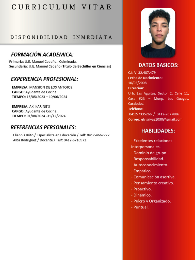 CV Elvis Suarez | PDF