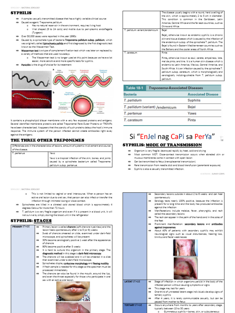SEROLOGY - Bacterial Serology | PDF | Serology | Infection