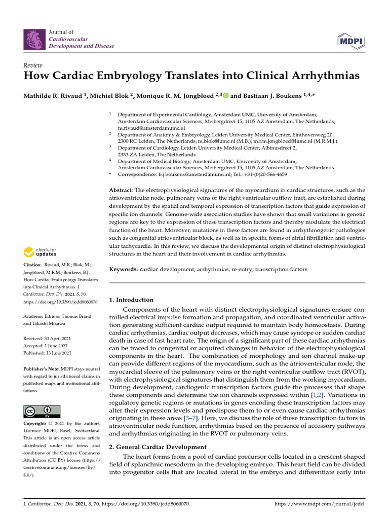 Cardiac Embryology and Arrhythmias | PDF | Heart | Cardiology