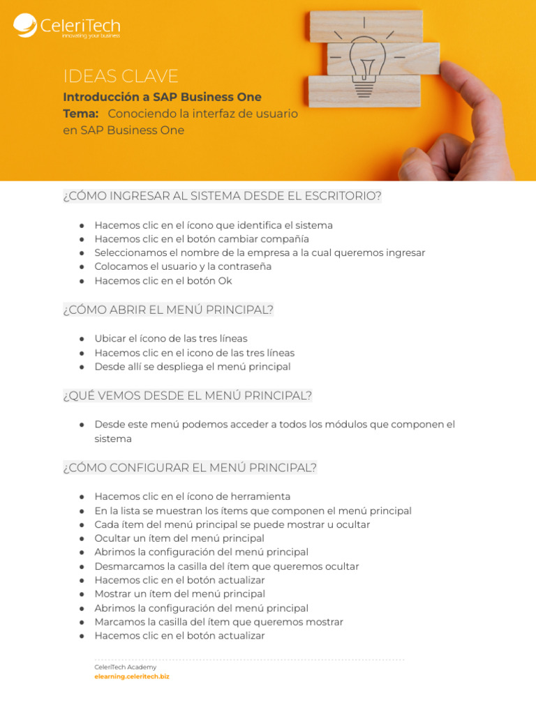 02 Introducci N A SAP - Conociendo La Interfaz de Usuario | PDF