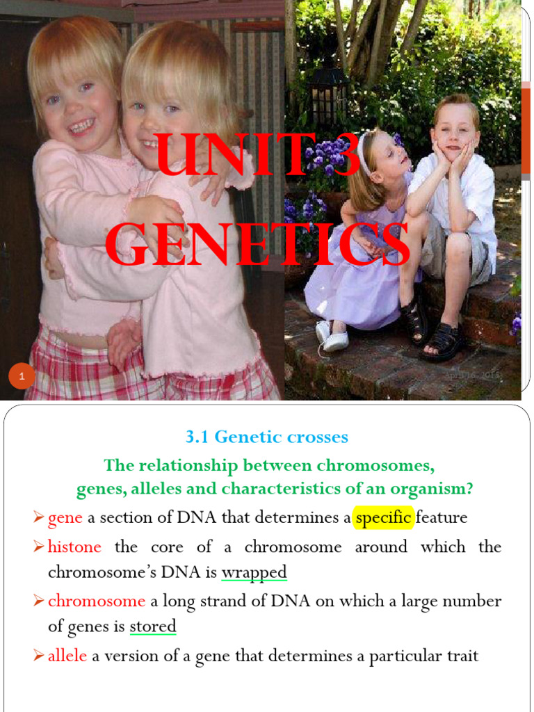 Grade 12 Biology Unit 3 Genetics-2-1 | PDF | Dominance (Genetics ...