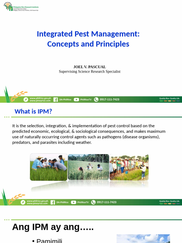 Integrated Pest Management | PDF | Biological Pest Control | Pest ...