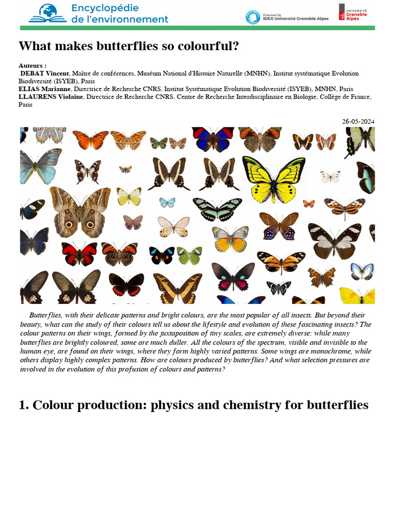 The Colorful Evolution of Butterflies | PDF | Natural Selection | Butterfly