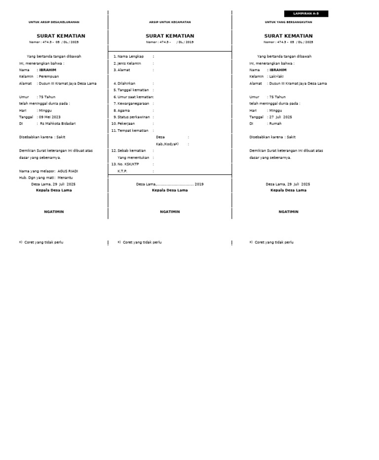 Surat Kematian Desa Lama 2025 | PDF