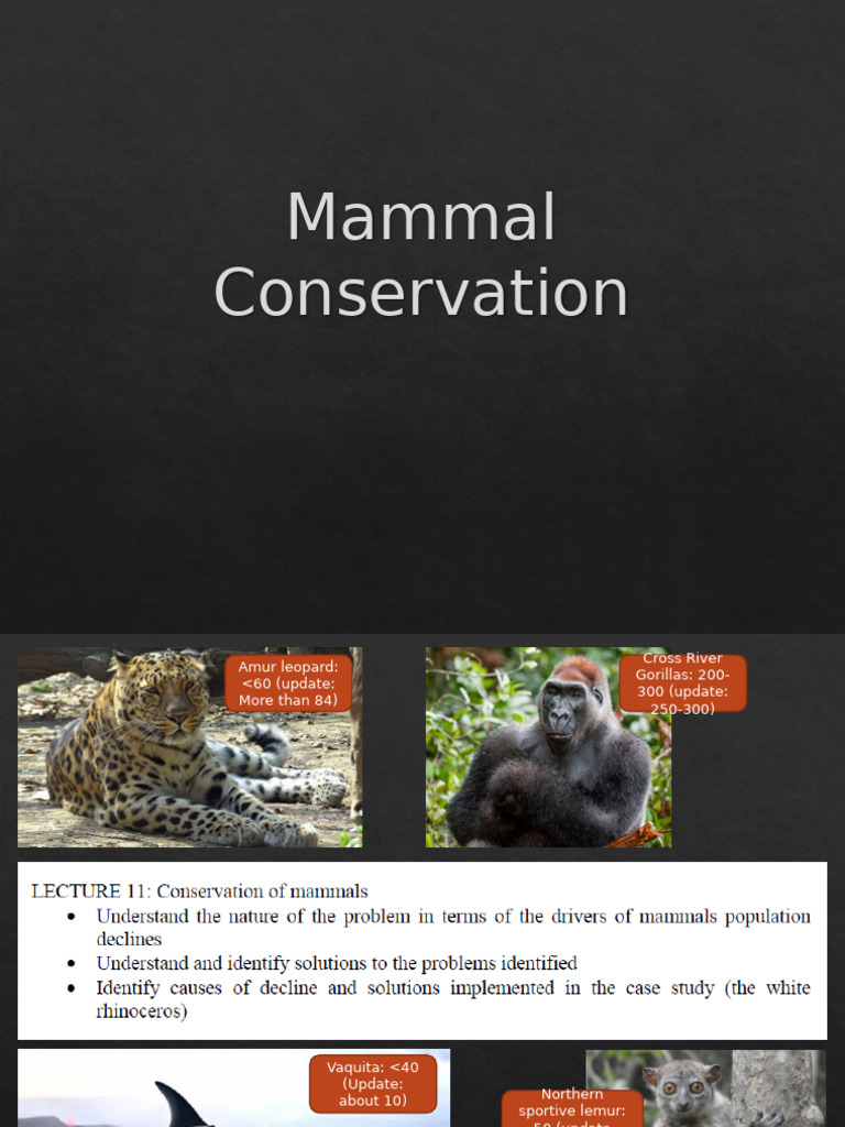 Lecture 11 - Mammal Conservation | PDF
