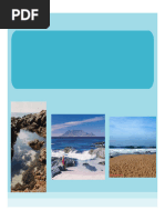 Sandy Beach Ecosystems Explained | PDF | Beach | Coast