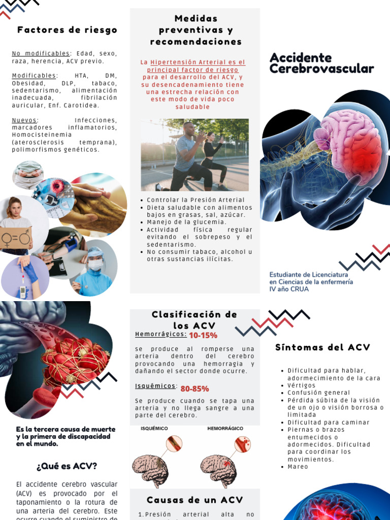 Folleto Triptico Acv | PDF | Carrera | Artería