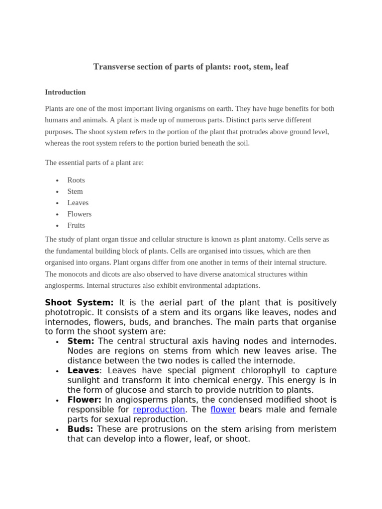 Transverse Sections of Plant Anatomy | PDF | Leaf | Plant Stem