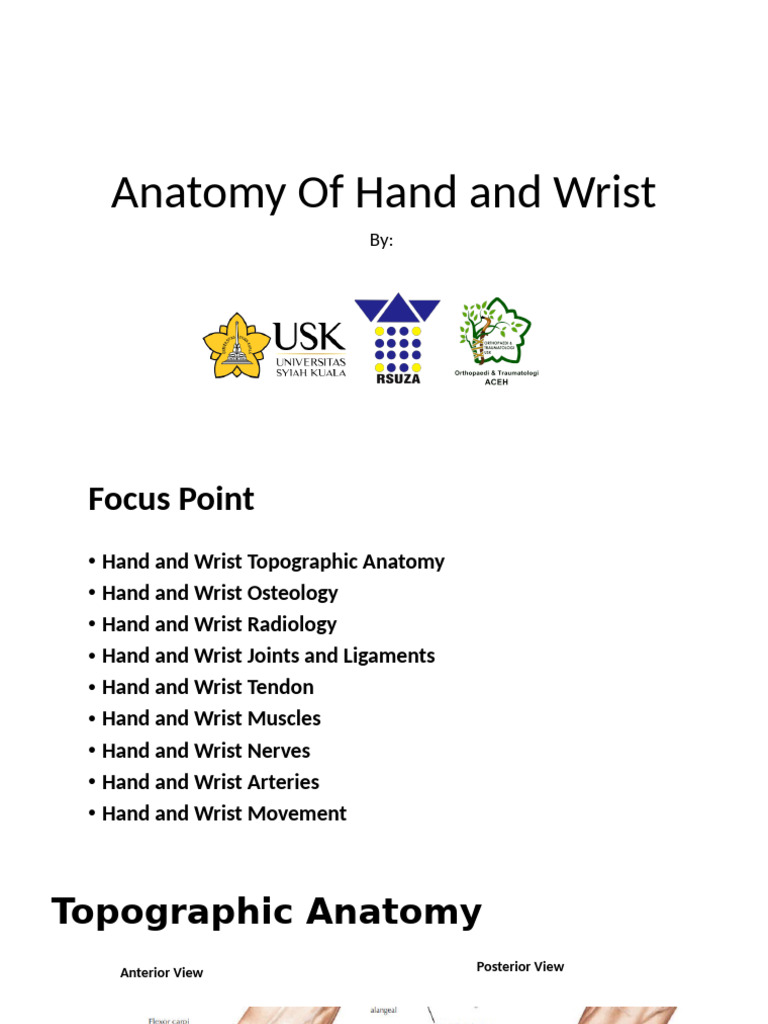 Hand and Wrist Anatomy Overview | PDF | Hand | Joints