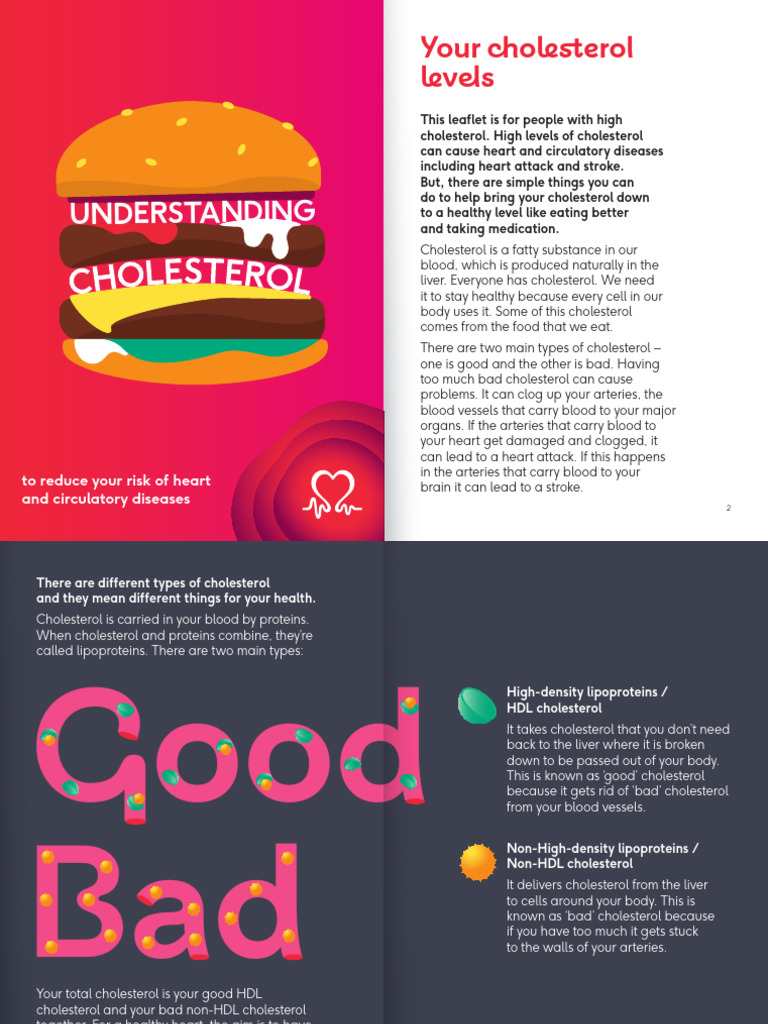 Understanding Cholesterol | PDF | Cholesterol | High Density Lipoprotein