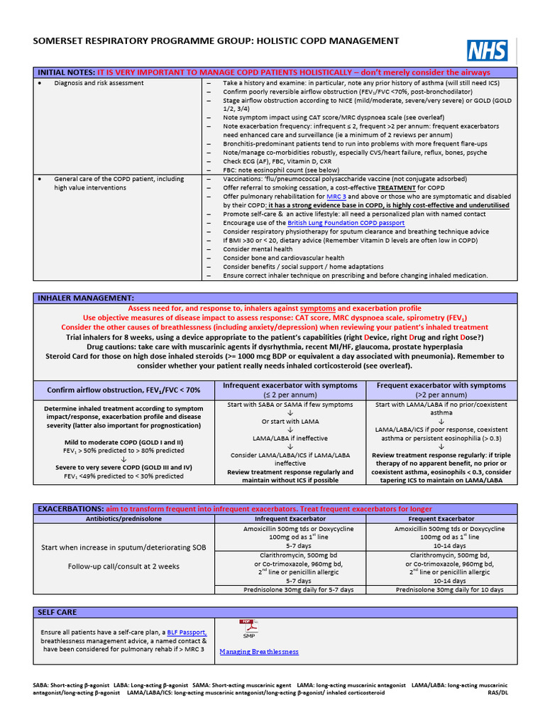 Holistic COPD Management Strategies | PDF | Chronic Obstructive ...