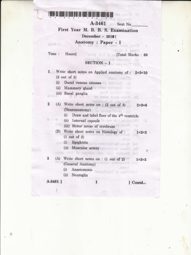First Year MBBS Anatomy Exam Paper | PDF | Neuroanatomy | Neuroscience