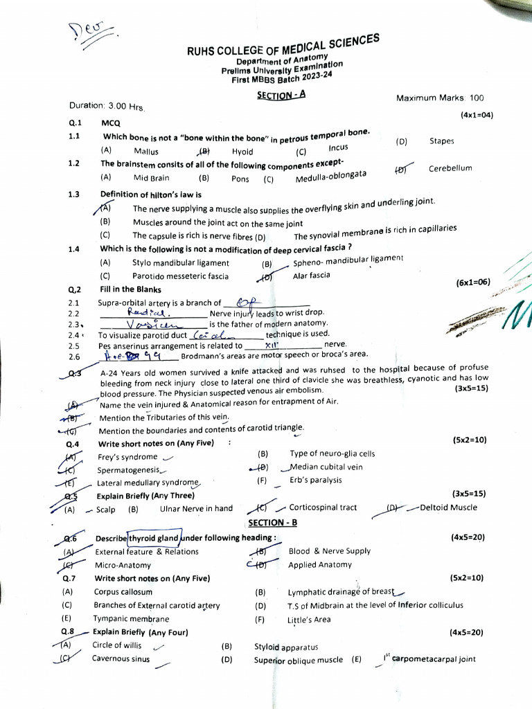 Ruhs MC Puc Paper Batch 23 | PDF | Common Carotid Artery | Vein