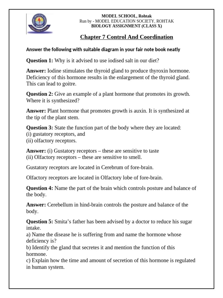 Ans - Control & Coordination Assignment | PDF | Hormone | Plant Hormone