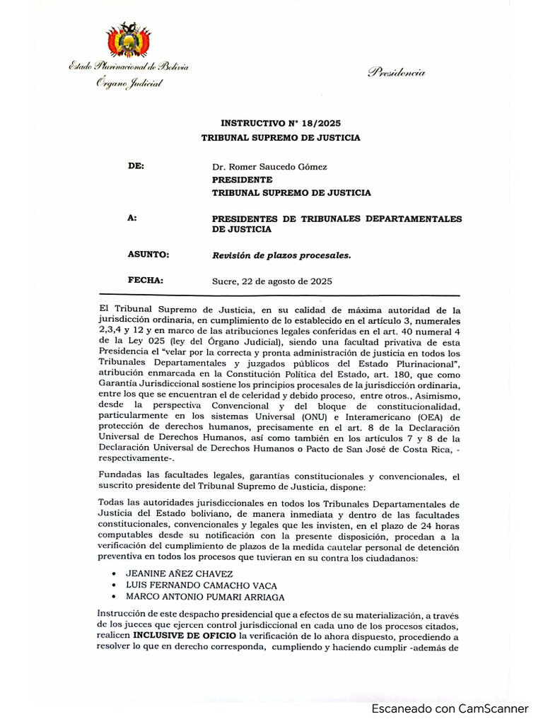 Instructivo 182025 Del TSJ Sobre Detenidos | PDF