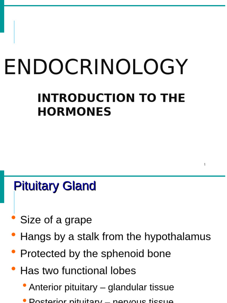 2.introduction To Hormones | PDF | Pituitary Gland | Endocrine System