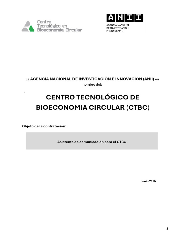 004_2025_Asistente de Comunicaci?n 2025 | PDF | Red mundial | Internet y web