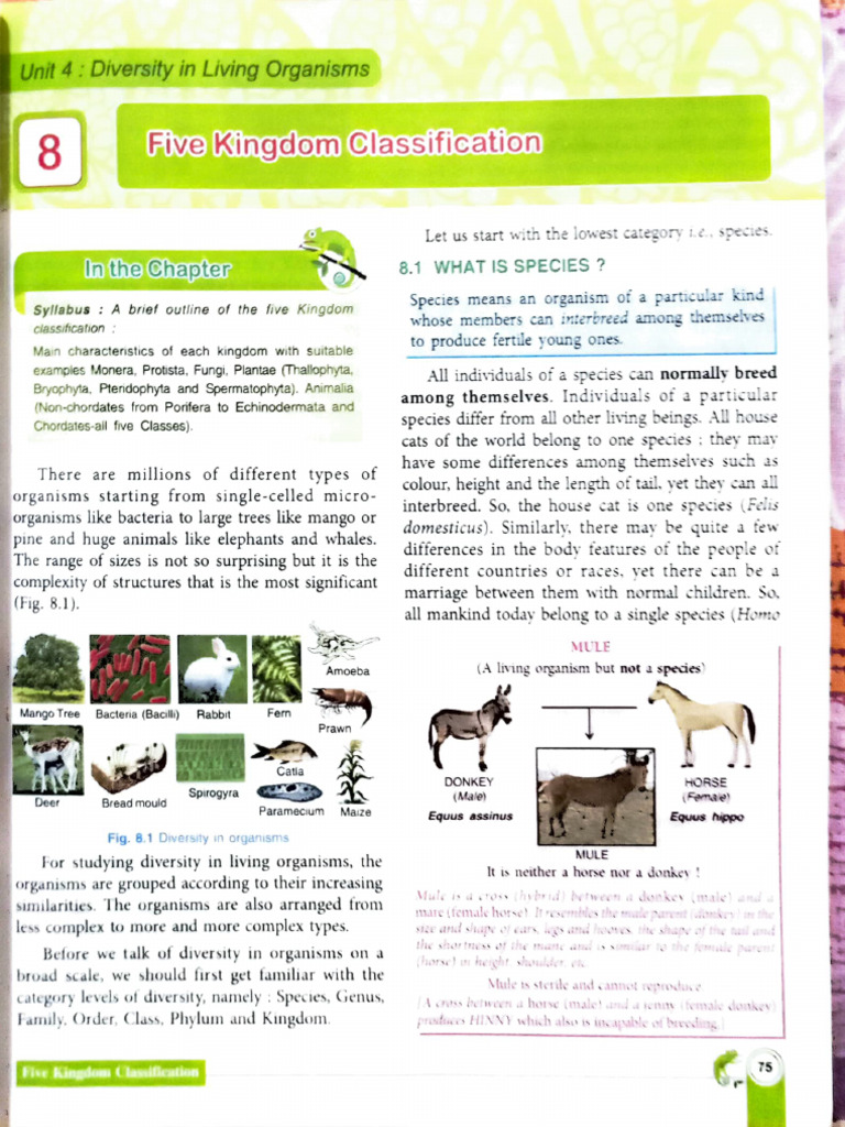 5 Kingdom Classification WWACES | PDF